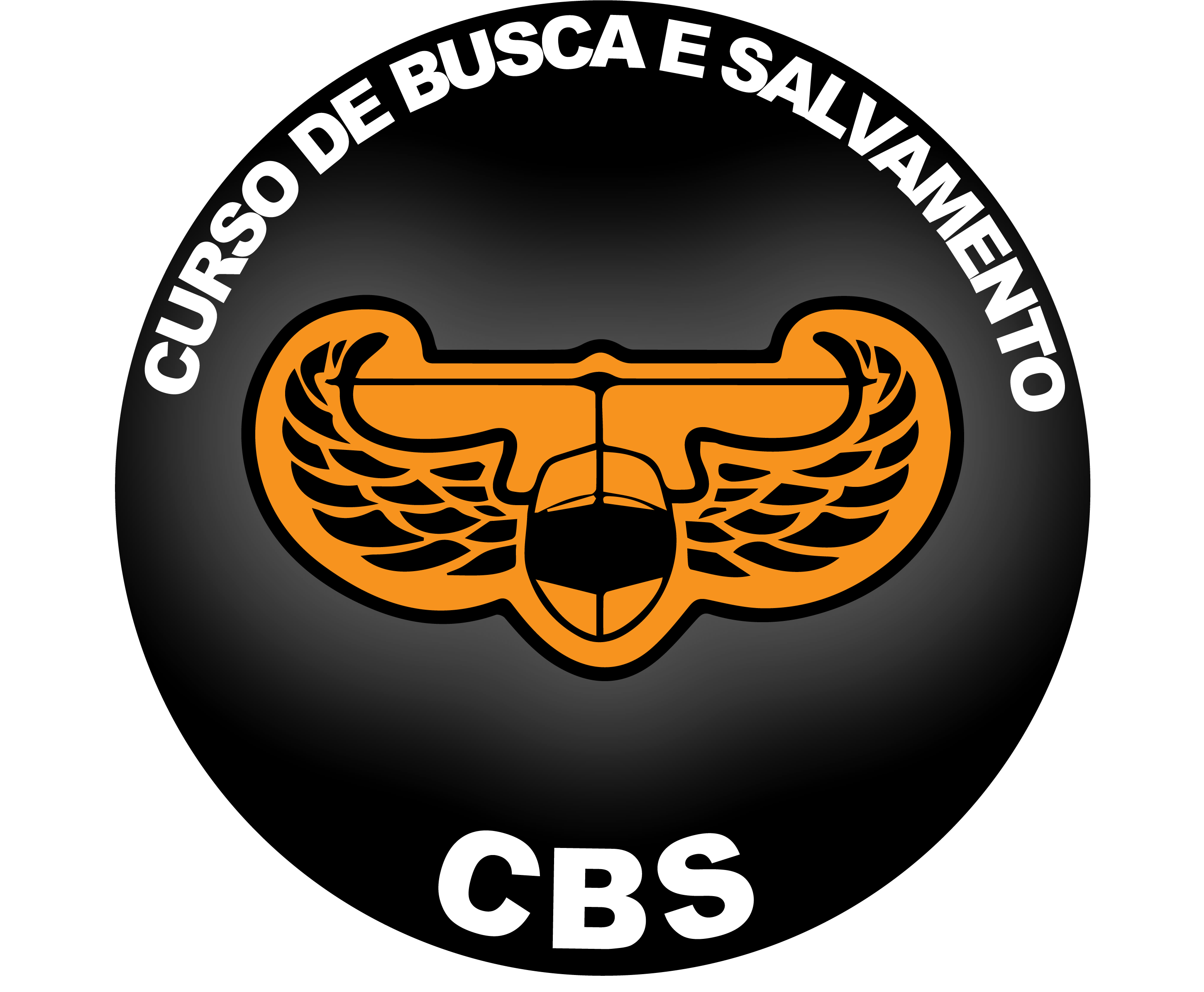 Sumário De Curso De Busca E Salvamento Cbs